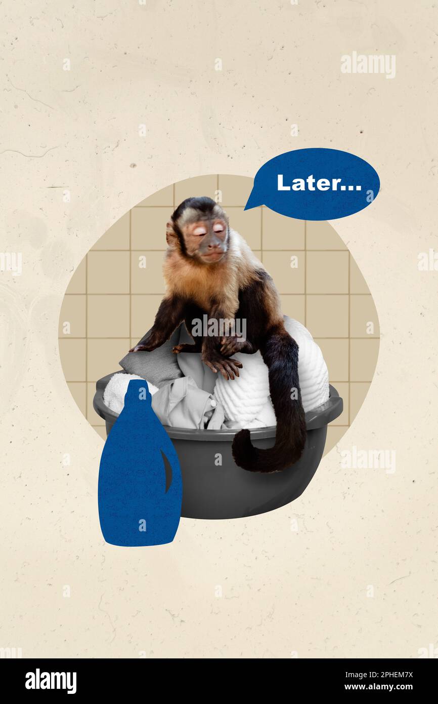Collage 3d pinup pop retro sketch image of tired chimpanzee delaying ...