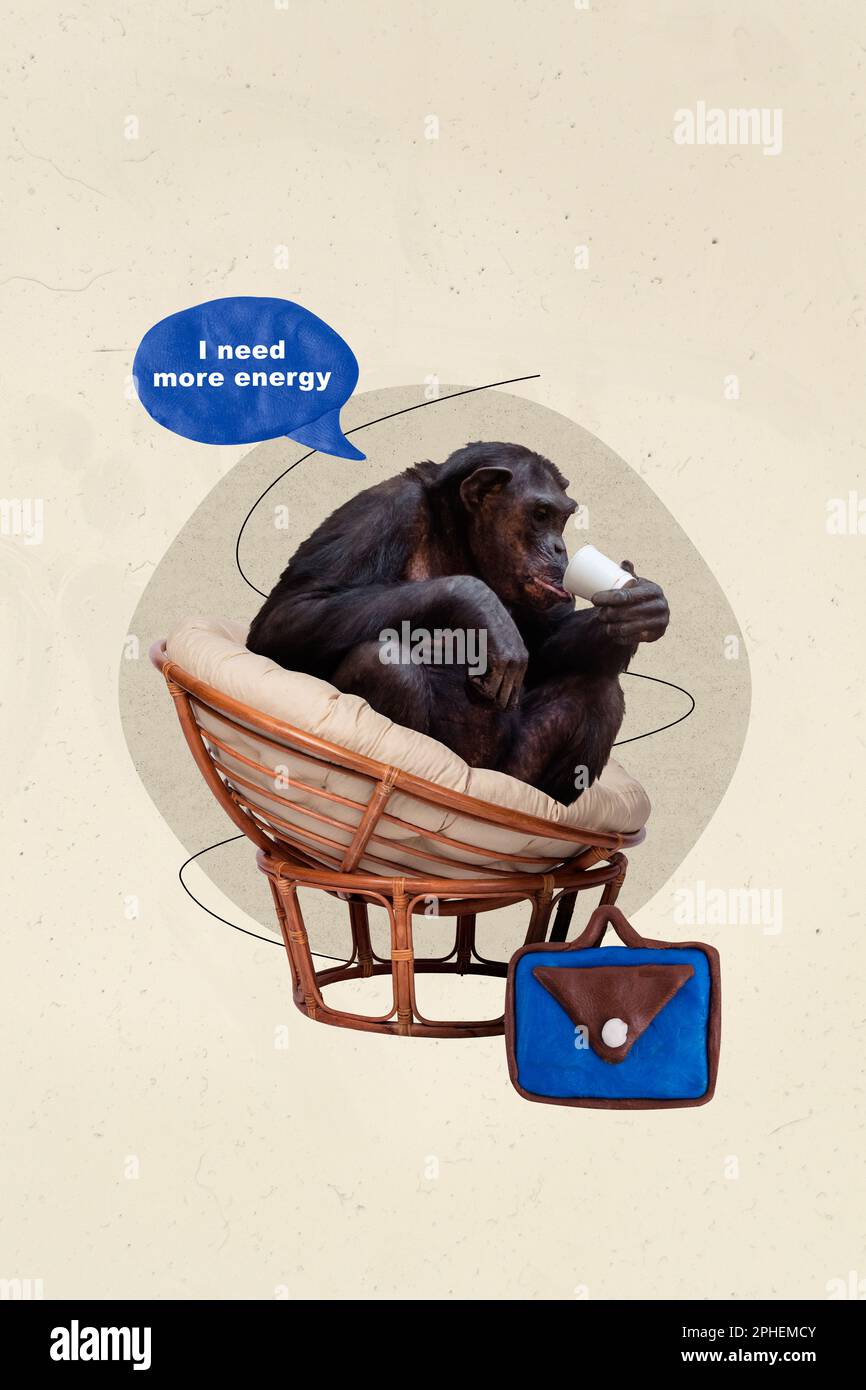 Collage artwork graphics picture of burn out chimpanzee drinking coffee ...