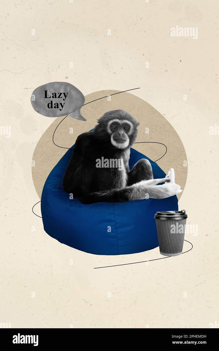 Creative template graphics collage image of relaxing funny monkey ...
