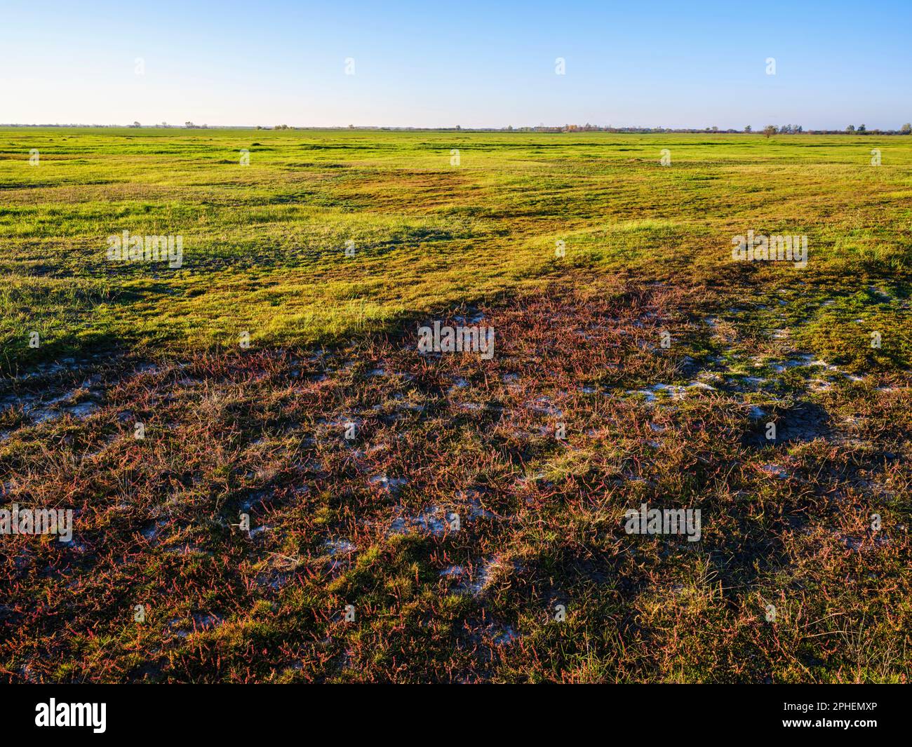 Goeres tanya hi-res stock photography and images - Alamy