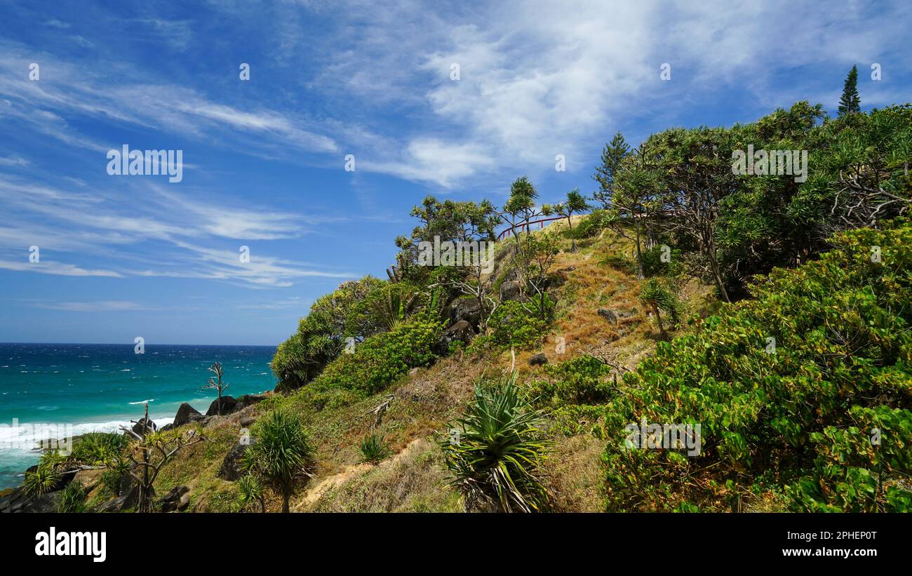 View across steep headland with grass and trees, to the ocean, on a ...