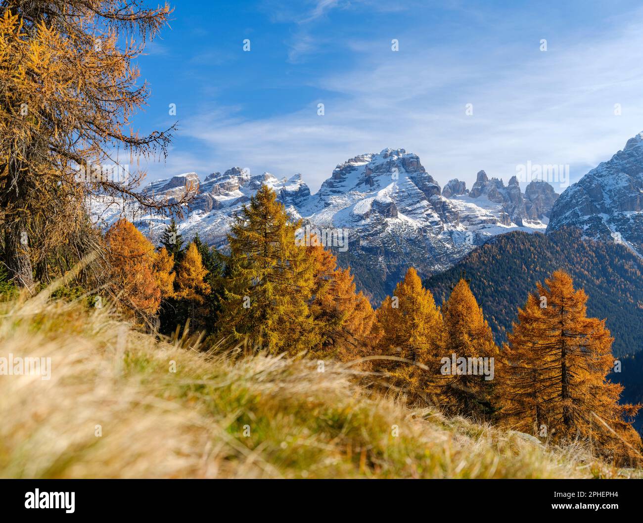 Cima Brenta. View of the Dolomiti di Brenta from Val Rendena in the ...