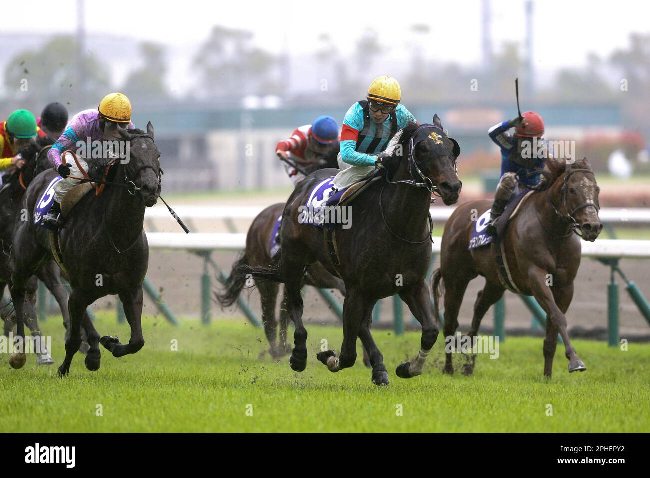 Aichi, Japan. 26th Mar, 2023. First Force and Taisei Danno win the ...