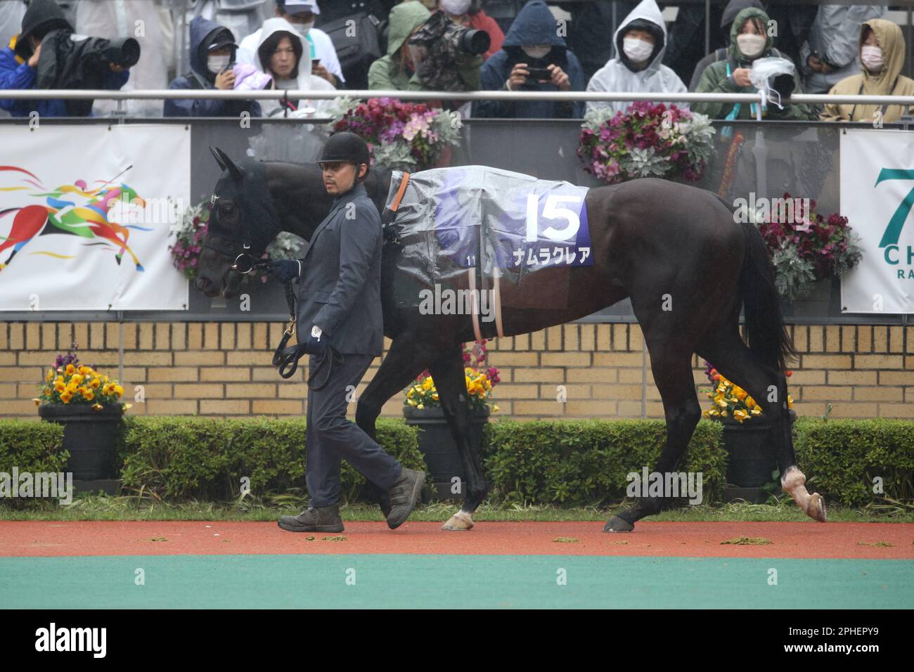 Aichi, Japan. 26th Mar, 2023. Namura Clair is led through the paddock ...