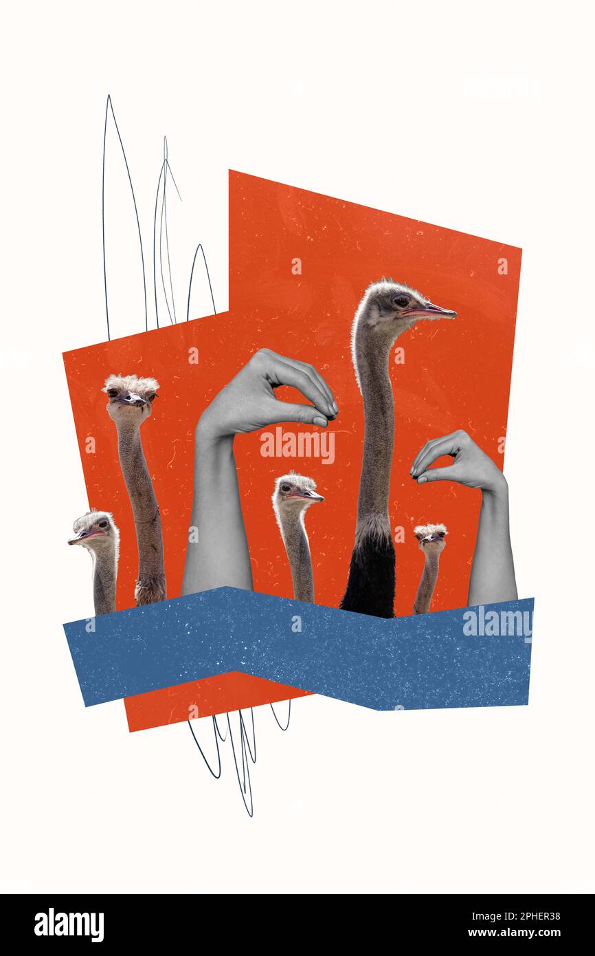 Hand showing duck symbol Cut Out Stock Images & Pictures - Alamy