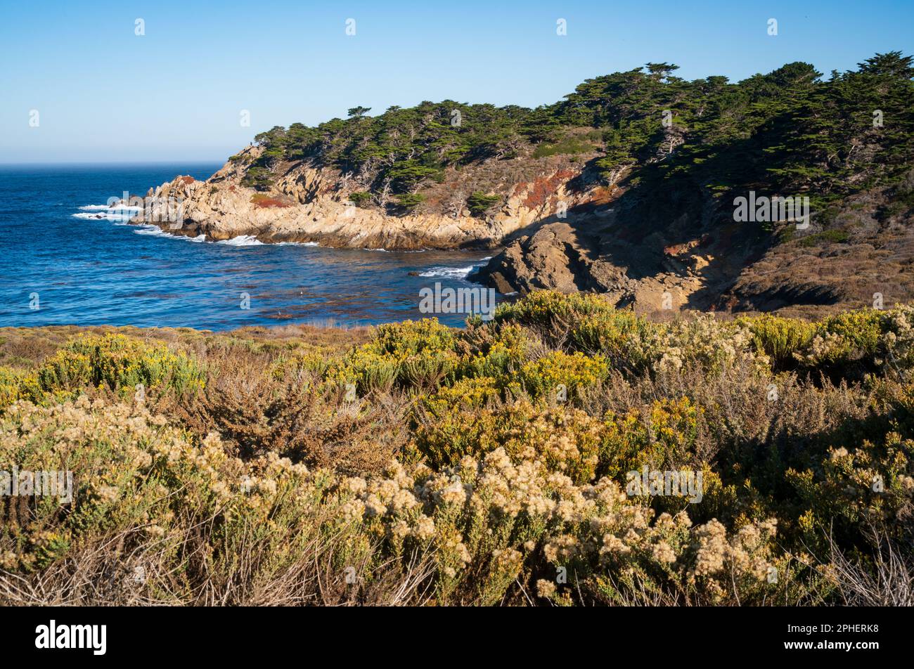 Panoramic of point lobos state natural reserve hi-res stock photography ...