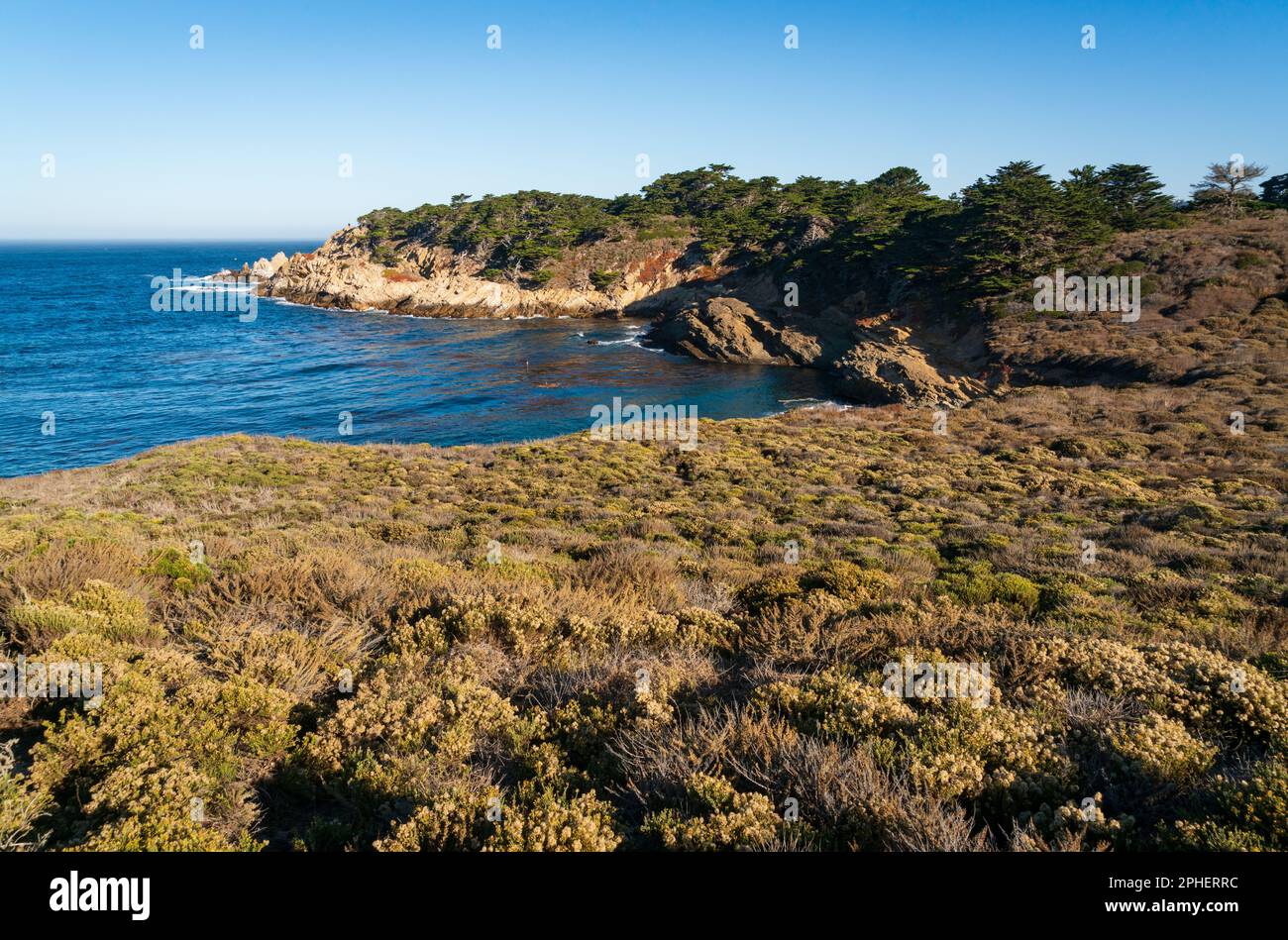 Point Lobos State Natural Reserve, California Stock Photo - Alamy