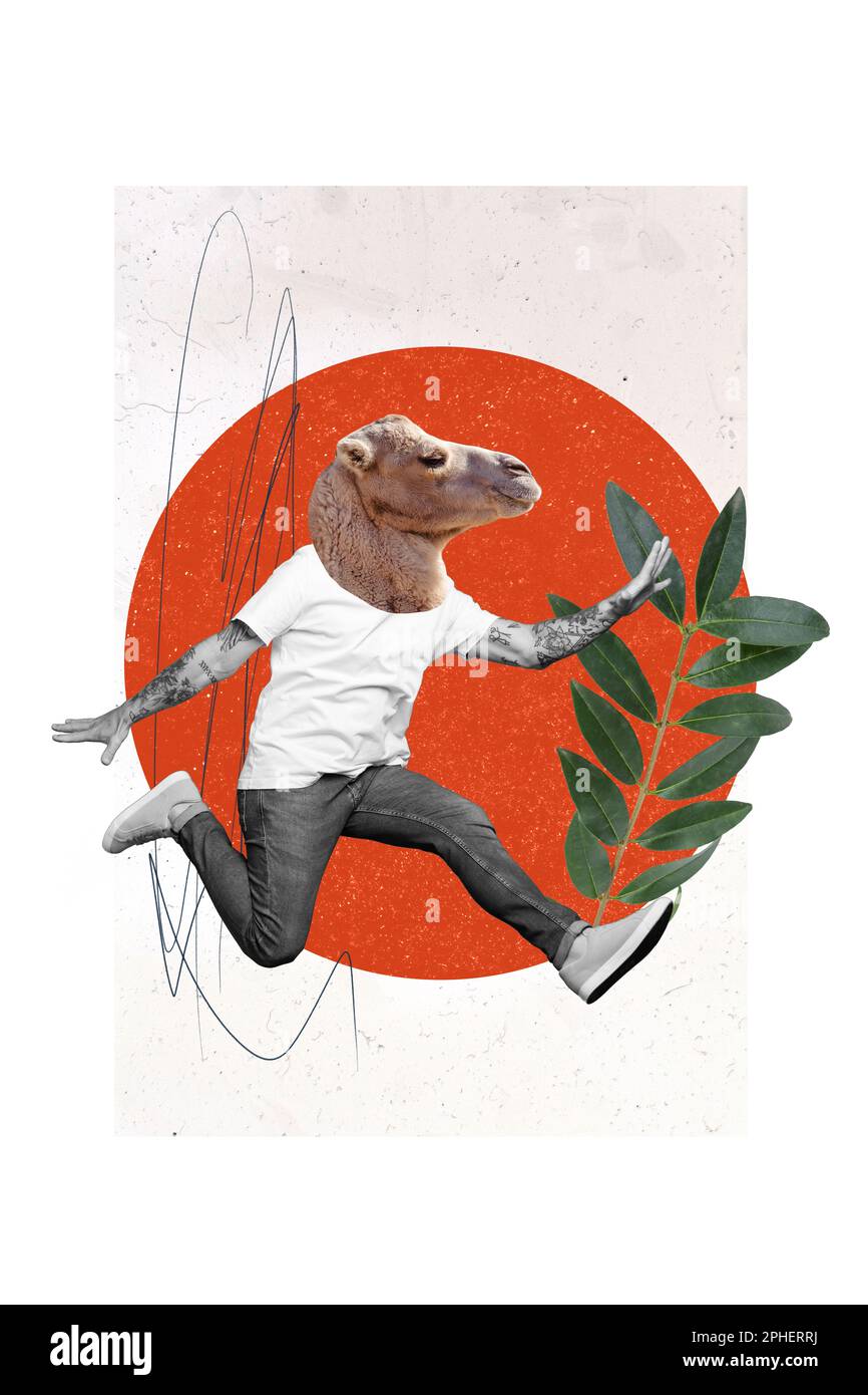 Photo banner collage of head camel wild animal man absurd freak enjoy ...
