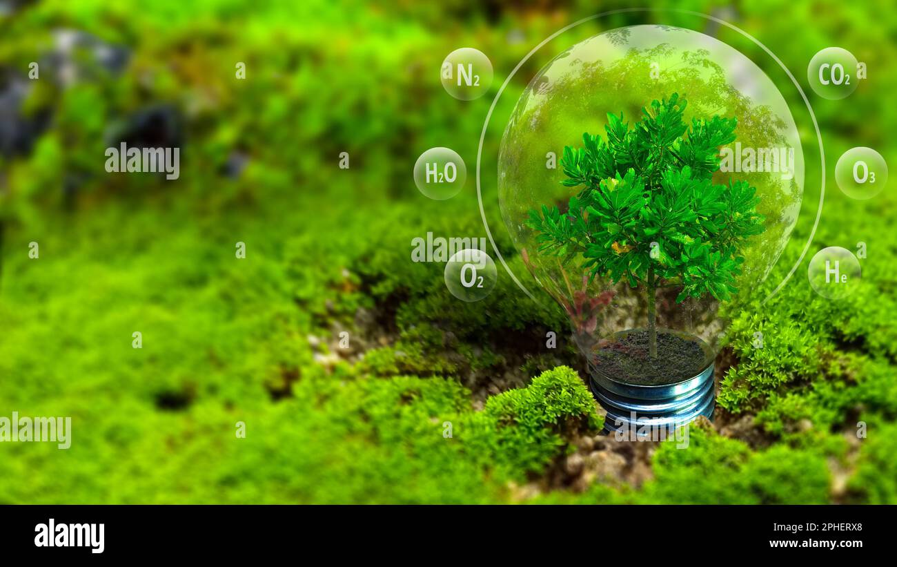 Green eco energy concept with light bulb on green moss background. 3d ...