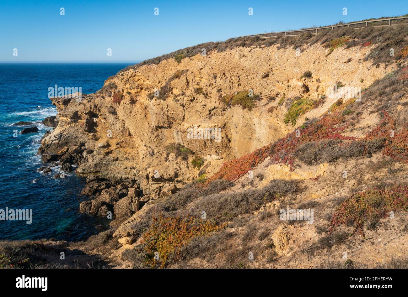 Point Lobos State Natural Reserve, California Stock Photo - Alamy