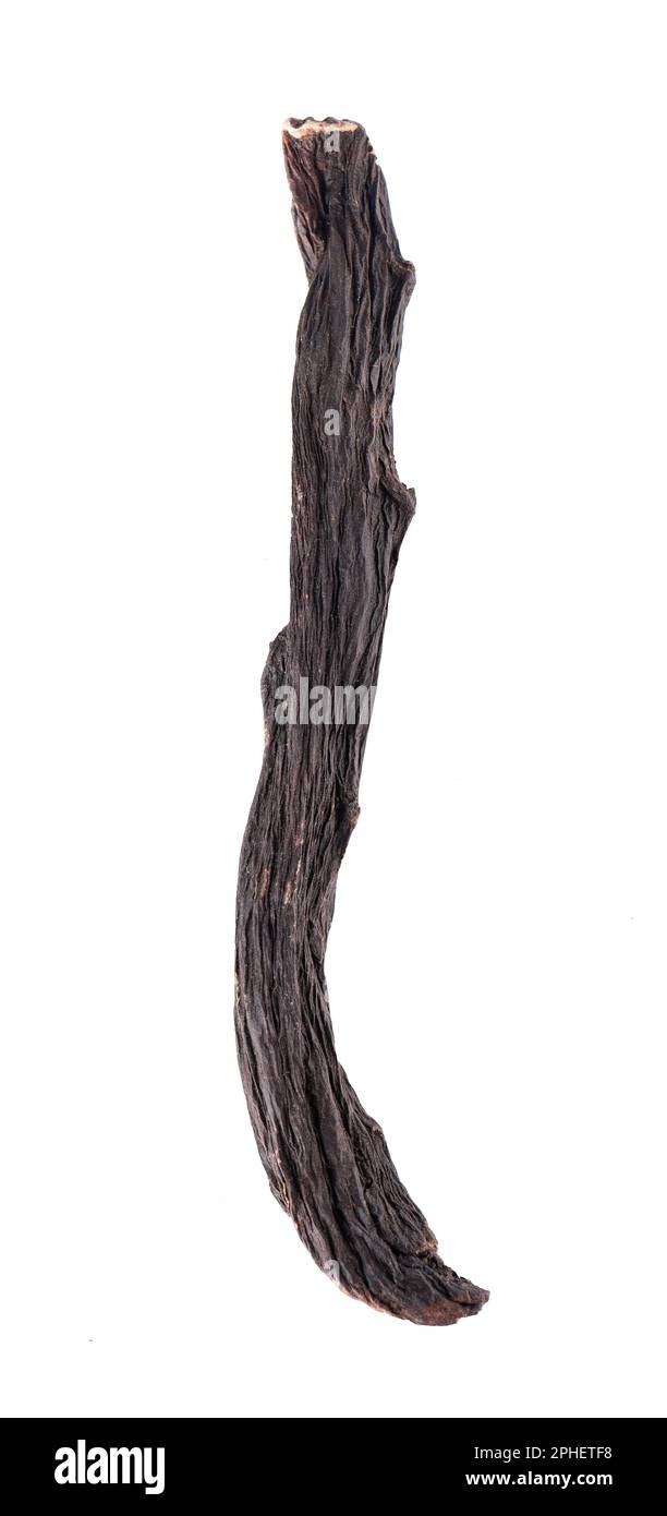 Common comfrey root isolated on white background. Dry roots of ...