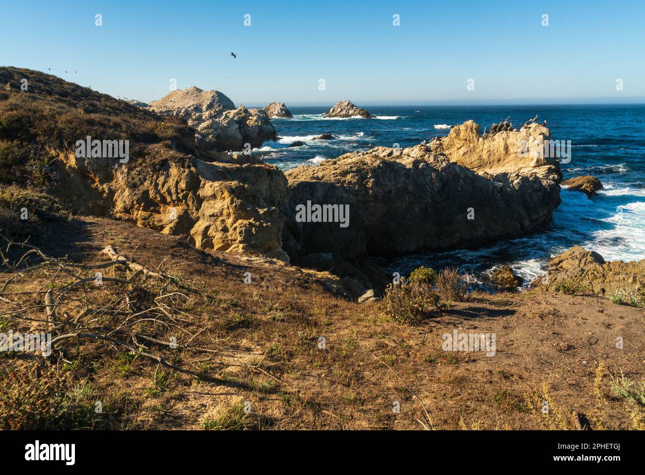 Panoramic of point lobos state natural reserve hi-res stock photography ...