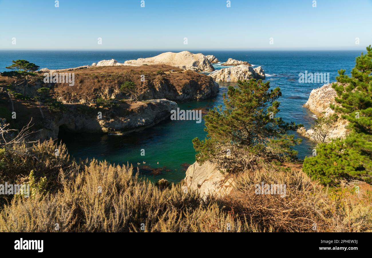 Monterey california point lobos seals hi-res stock photography and ...