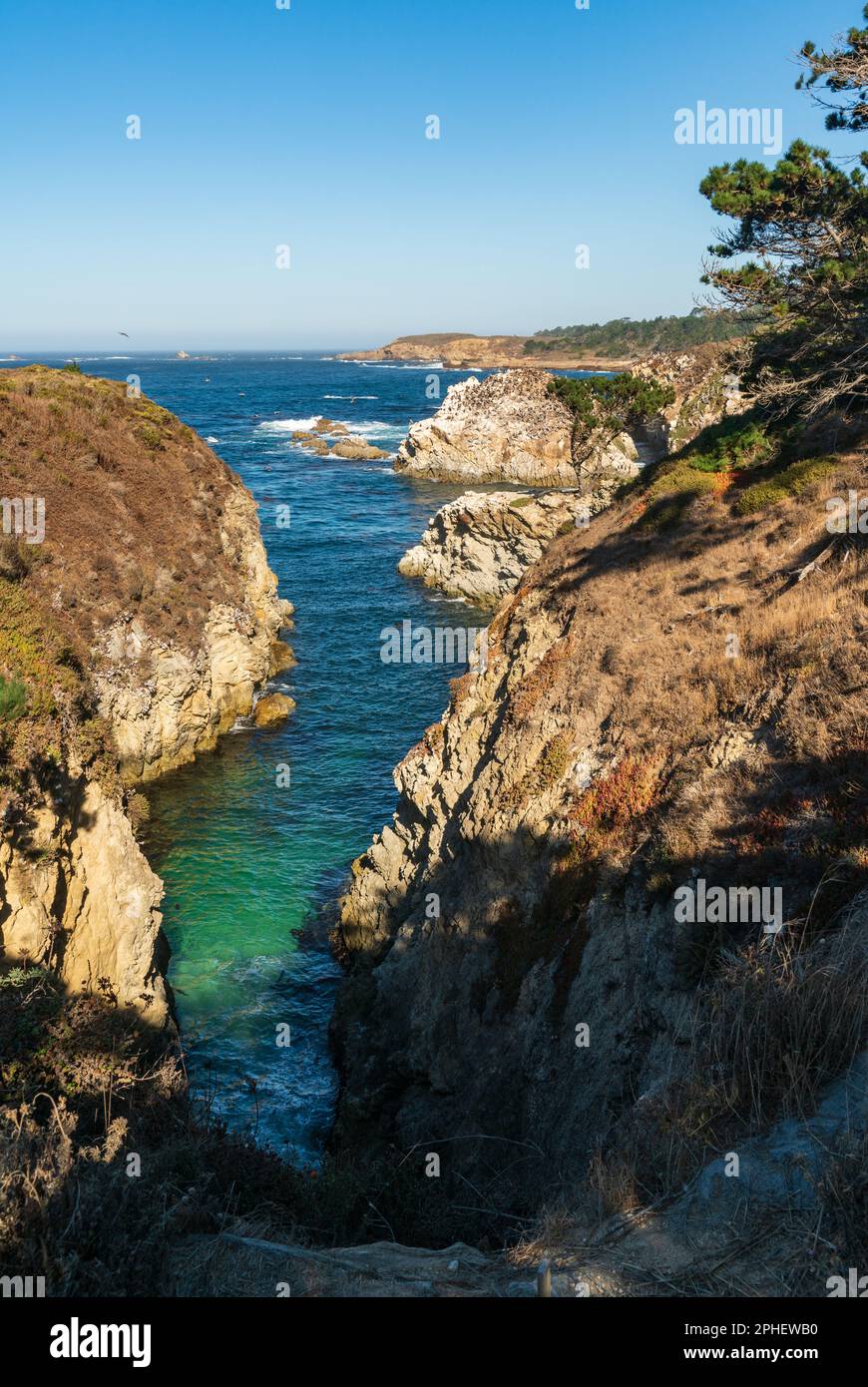 Panoramic of point lobos state natural reserve hi-res stock photography ...