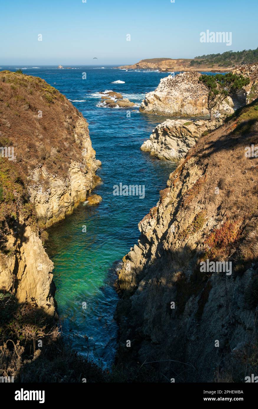 Panoramic of point lobos state natural reserve hi-res stock photography ...