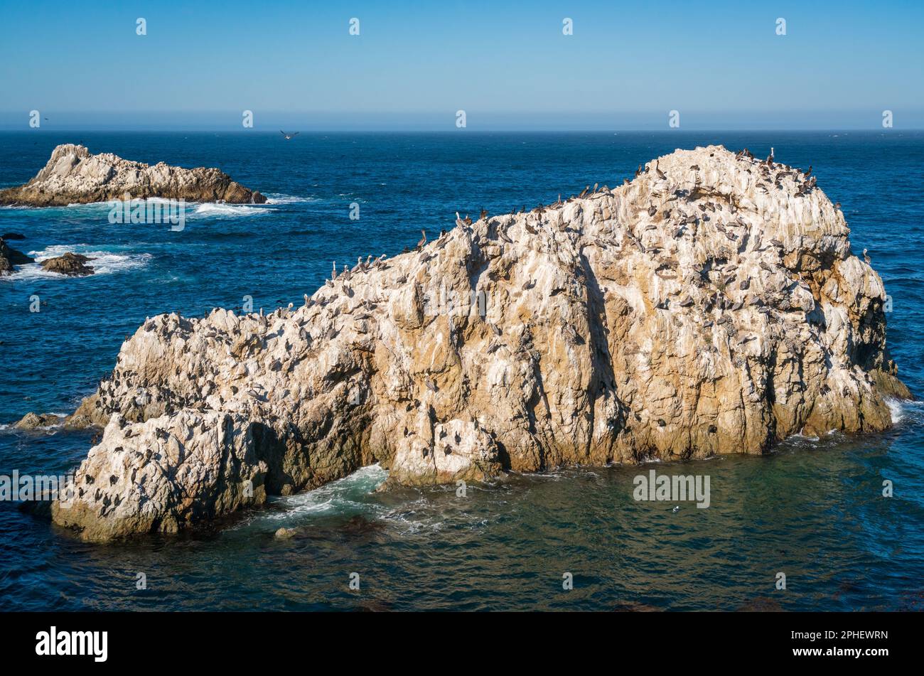 Point Lobos State Natural Reserve, California Stock Photo - Alamy