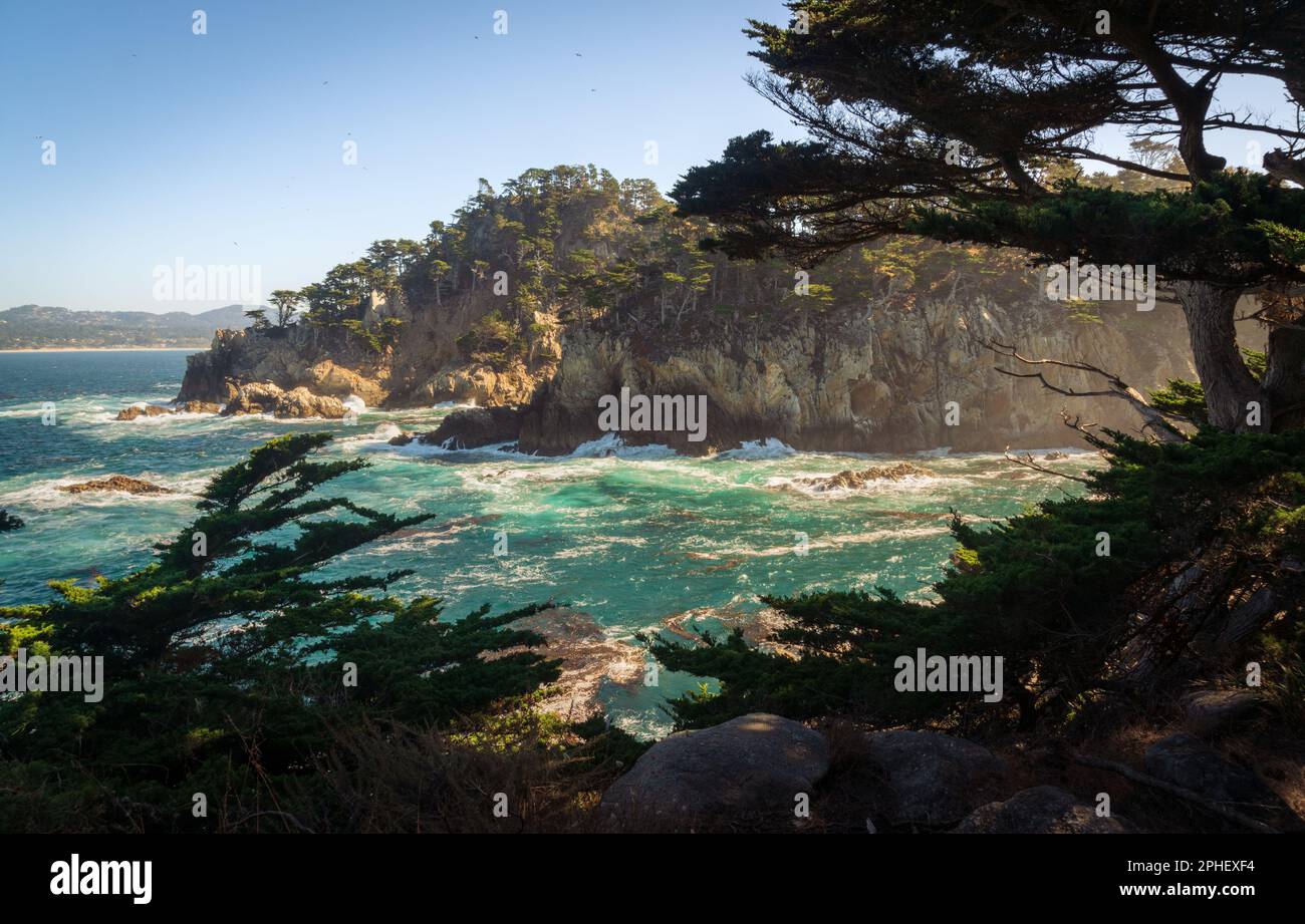 Point Lobos State Natural Reserve, California Stock Photo - Alamy