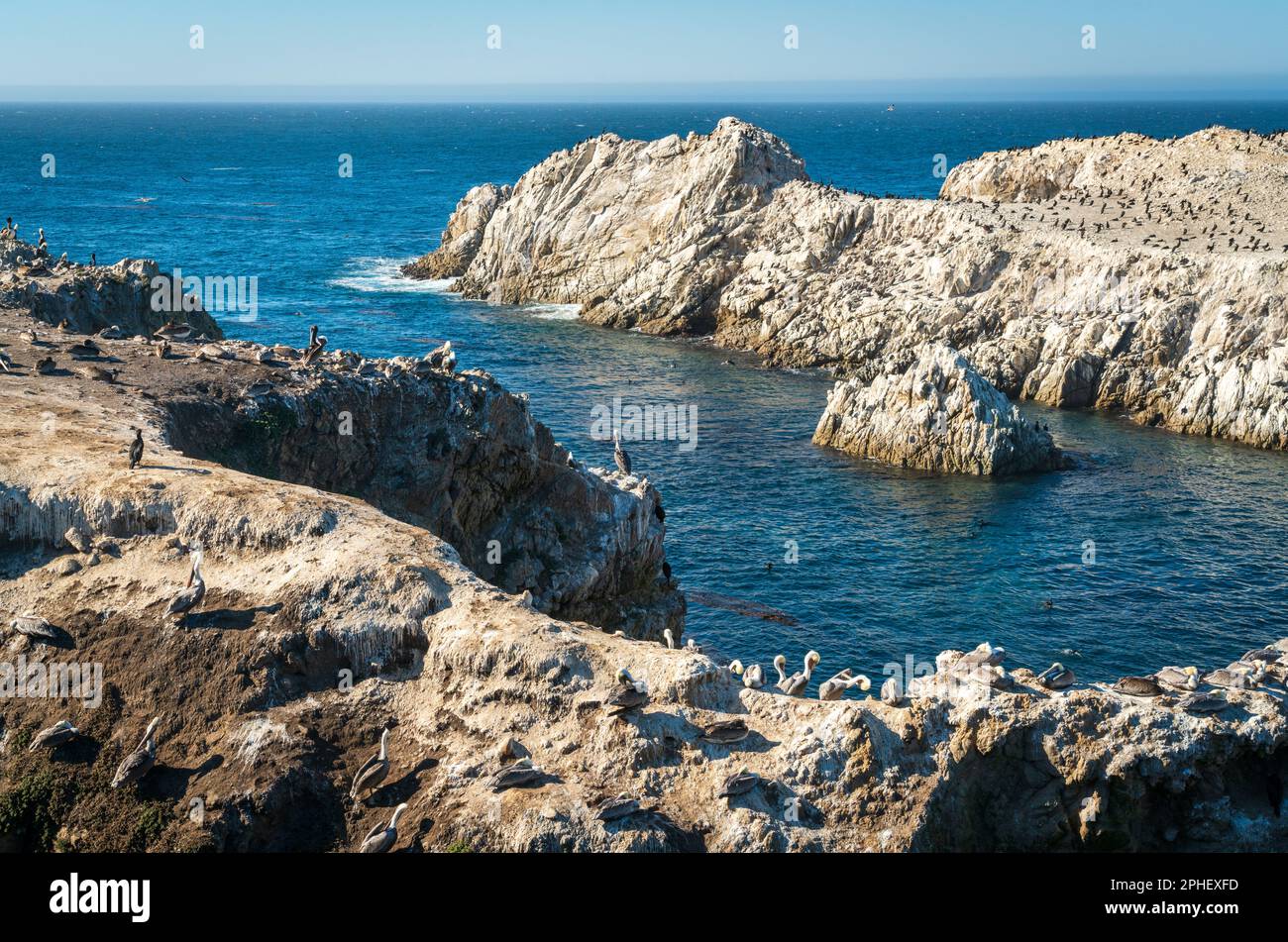 Point Lobos State Natural Reserve, California Stock Photo - Alamy