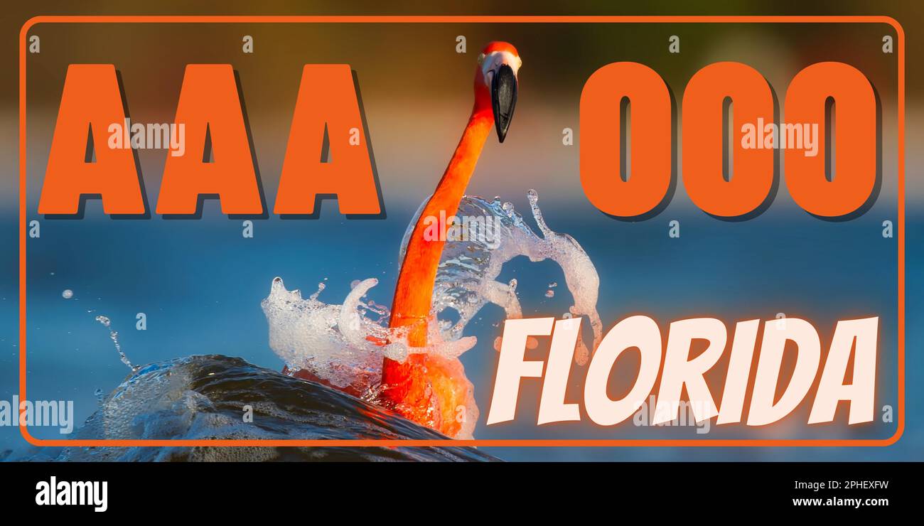 Vehicle license plates marking in Florida in United States of America ...