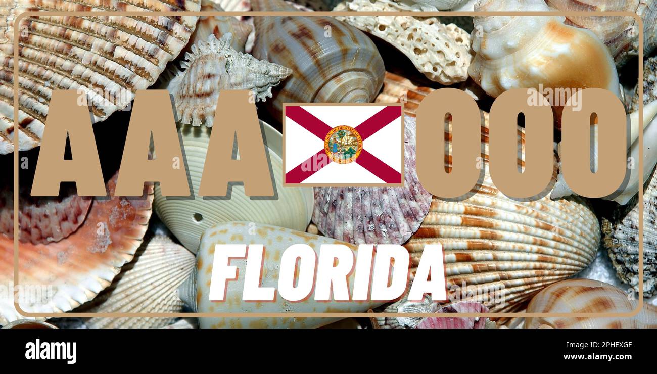 Vehicle license plates marking in Florida in United States of America ...