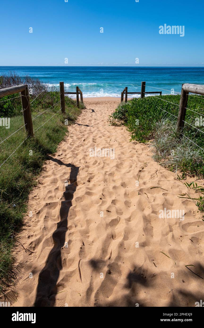 Under a clear blue sky a sandy path leads to Newport Beach and The ...