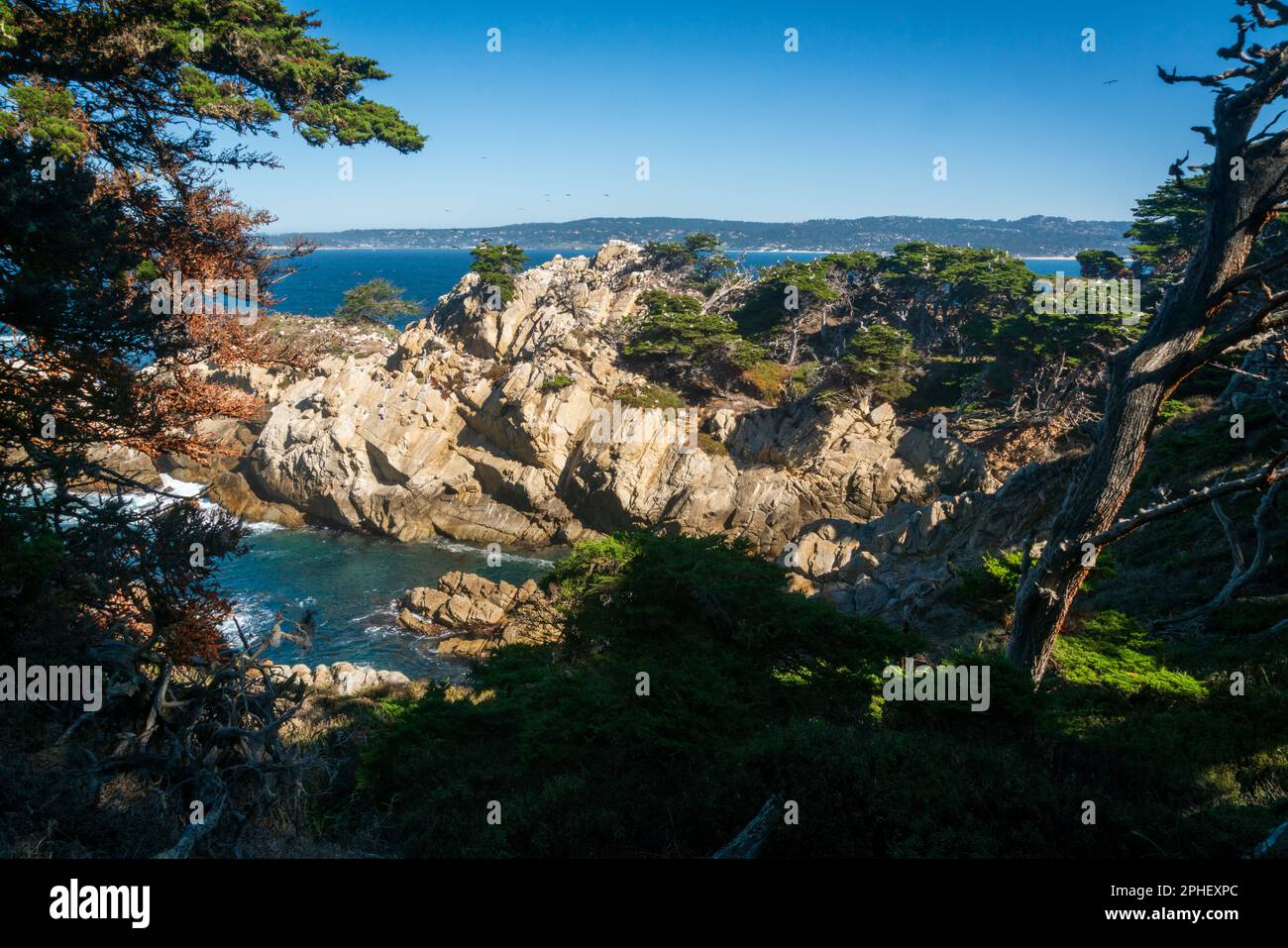 Panoramic of point lobos state natural reserve hi-res stock photography ...