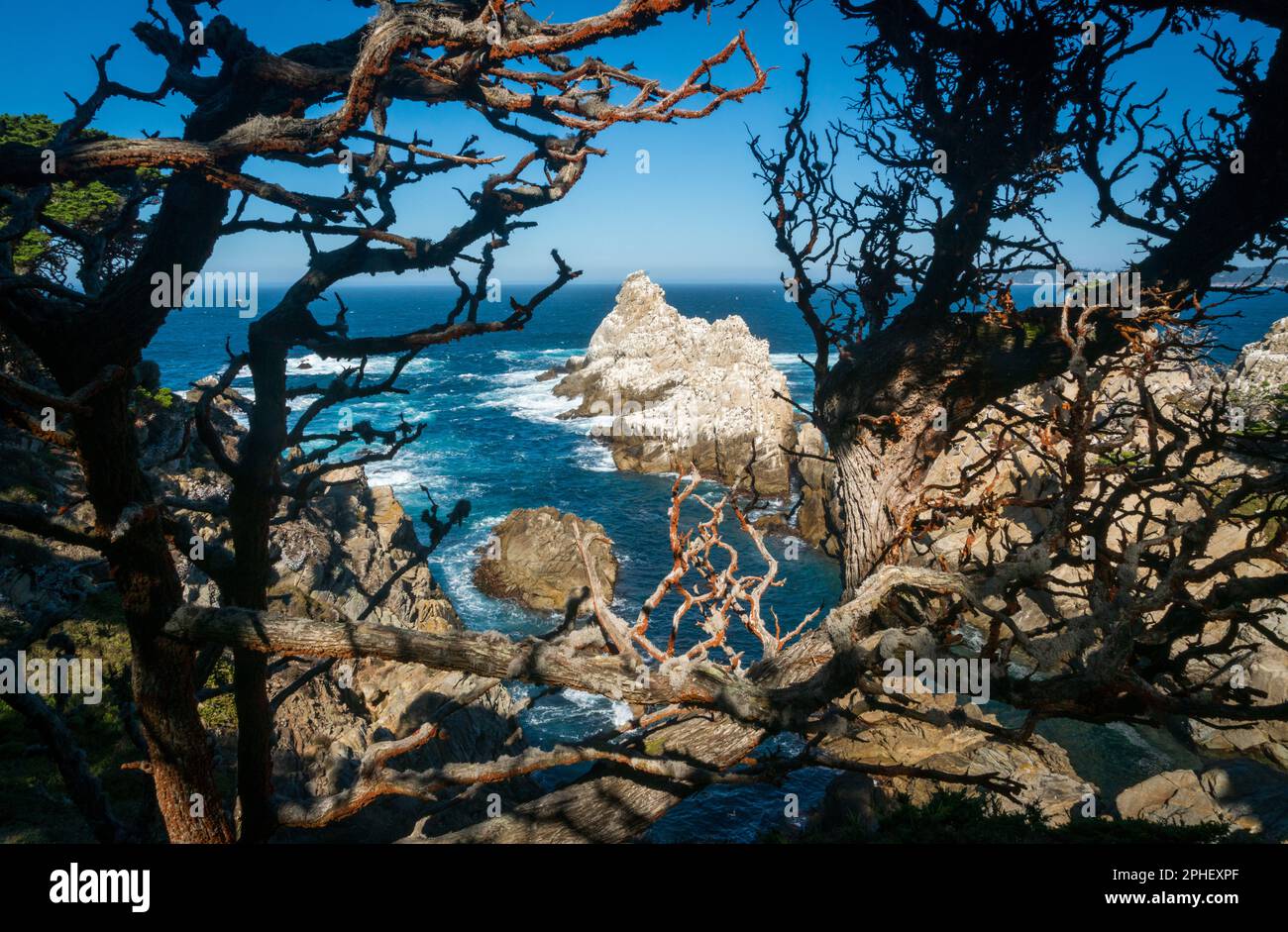 Panoramic of point lobos state natural reserve hi-res stock photography ...