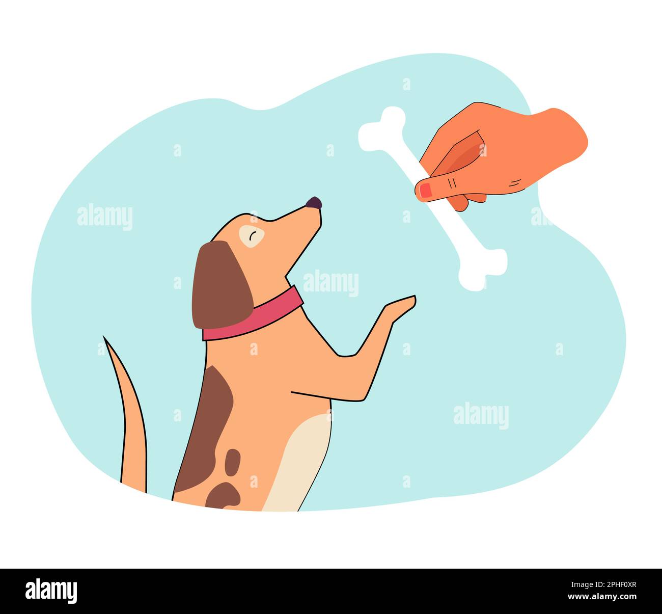 Dog playing with owner Cut Out Stock Images & Pictures - Alamy