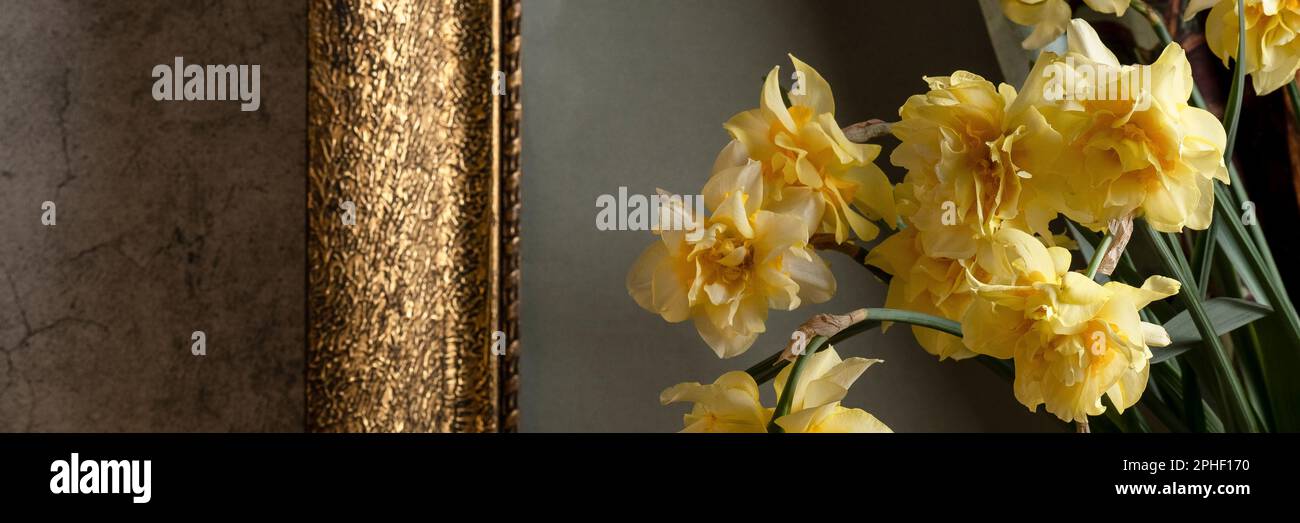 Close up view of bloomed daffodils, vintage still life, art interior ...