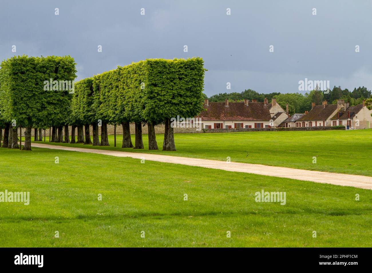 Green mowed lawn with trees trimmed in a block shape along a path. In ...