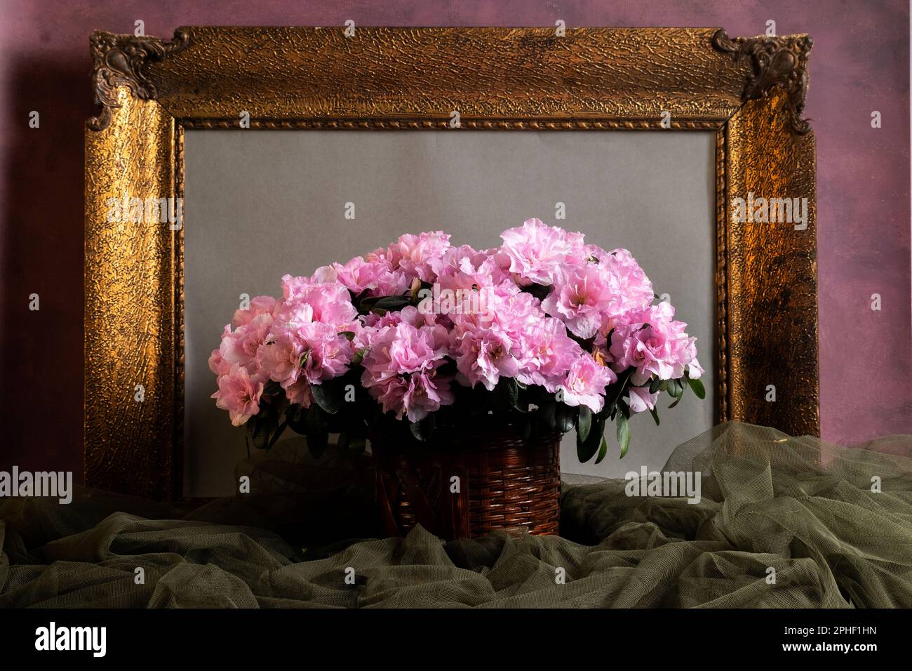 Bloomed azalea in bucket, vintage still life, art interior design Stock ...