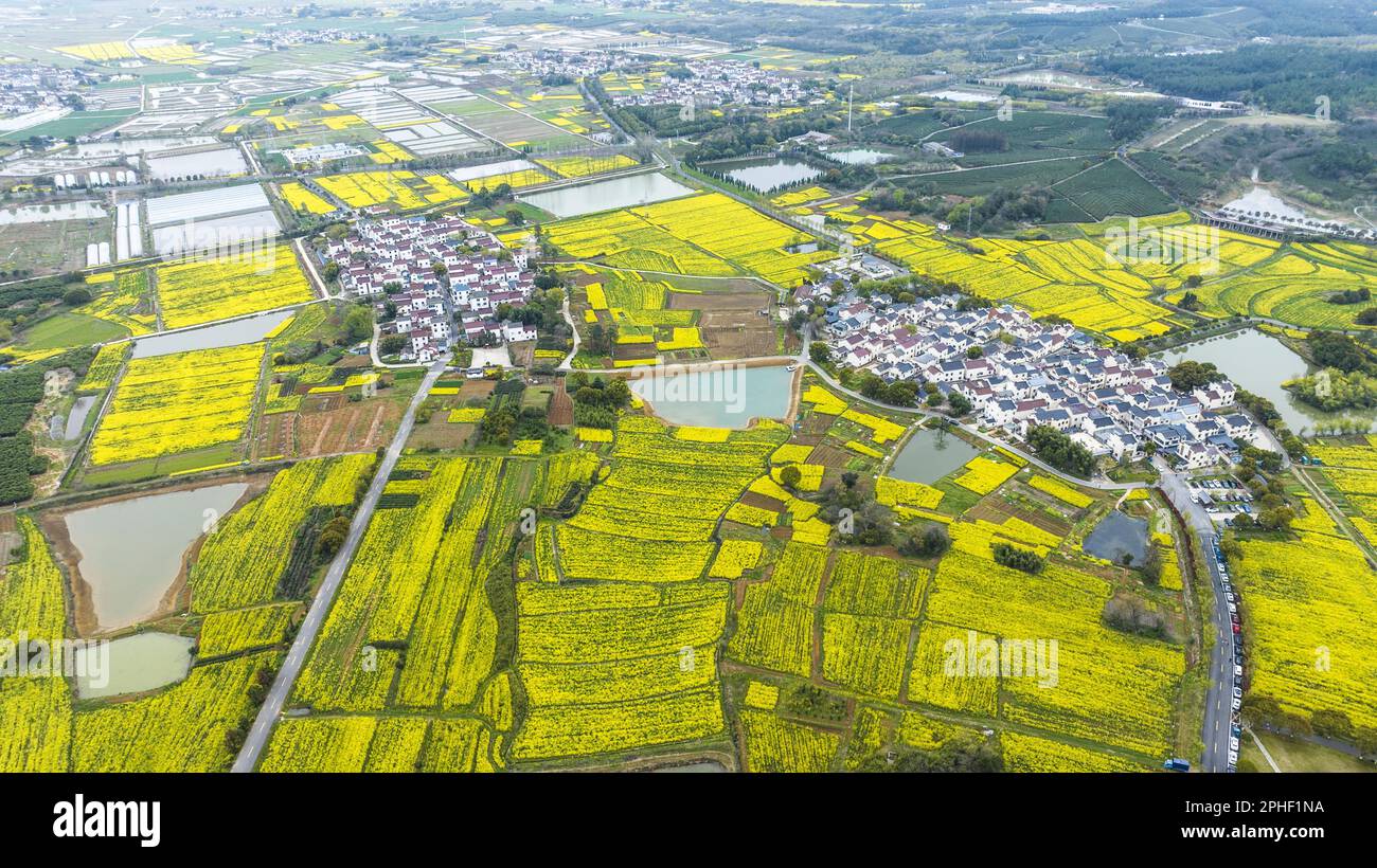Aerial photo shows the spring scenery at Gaochun International ...
