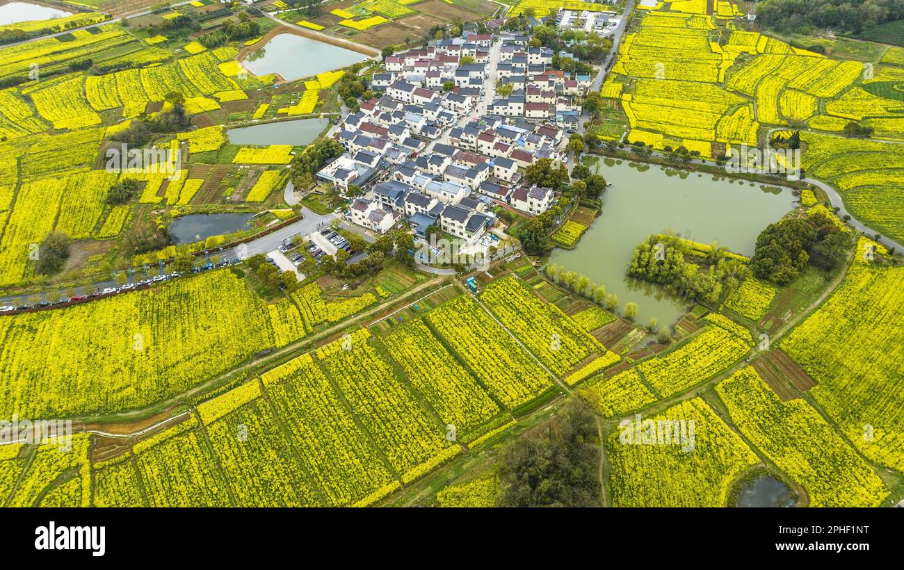 Aerial photo shows the spring scenery at Gaochun International ...