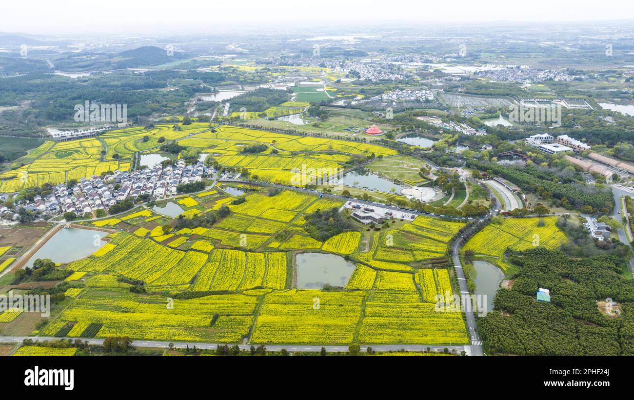 Aerial photo shows the spring scenery at Gaochun International ...