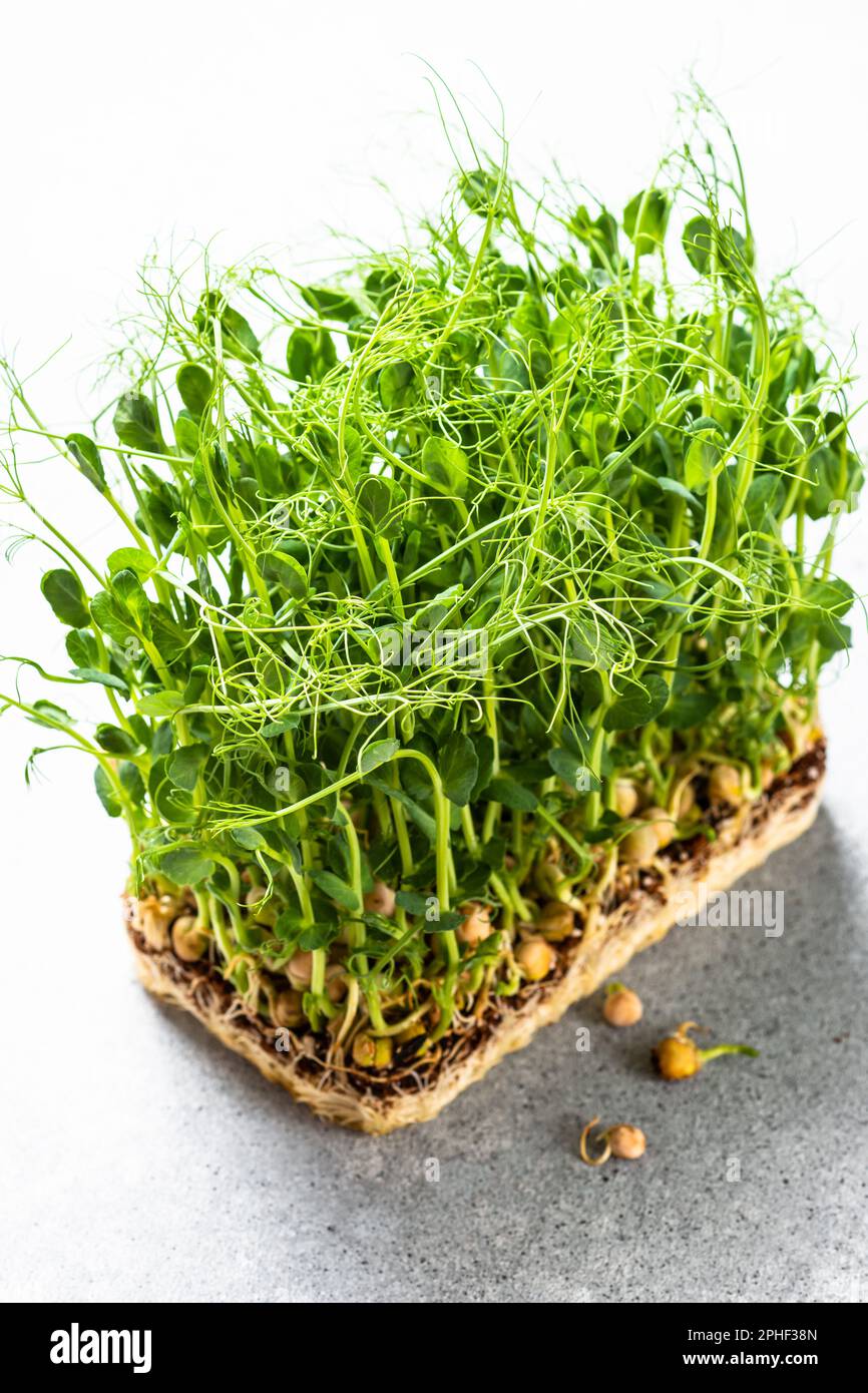 Micro greens in container, dietary supplement Stock Photo - Alamy