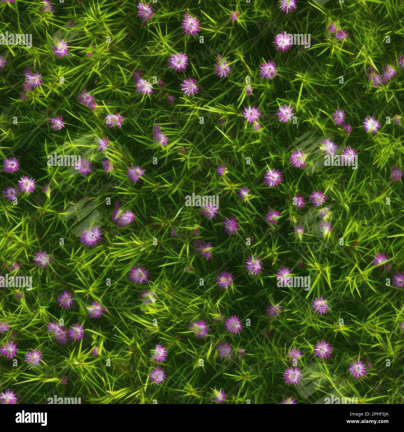 Seamless texture grass hi-res stock photography and images - Alamy