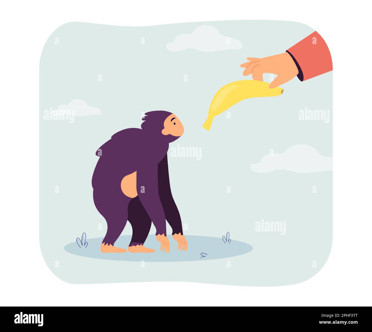 Hand giving banana to monkey flat vector illustration Stock Vector ...