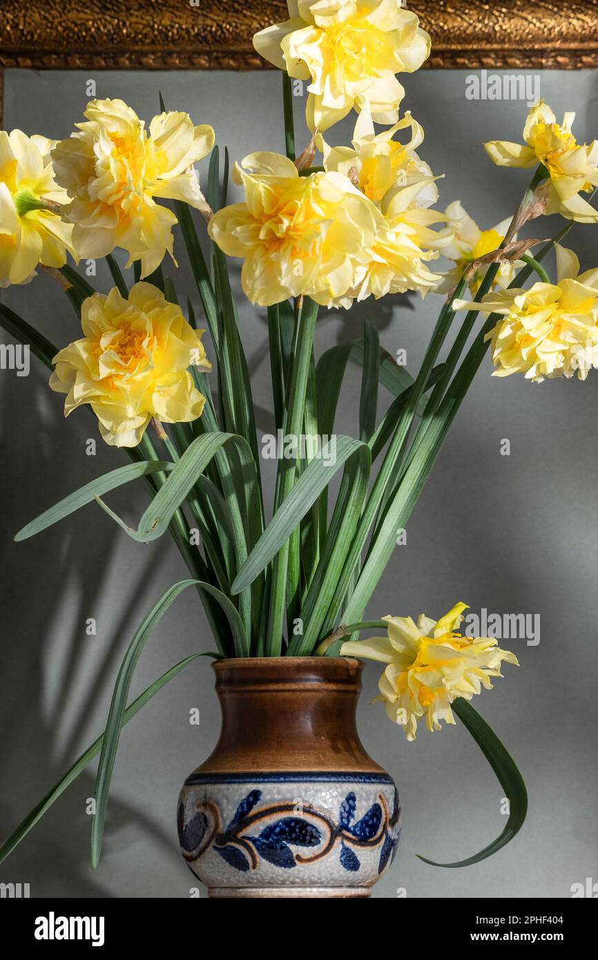 Blooming daffodils in the iron bucket, vintage still life Stock Photo ...