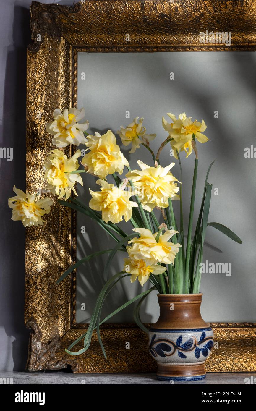 Blooming daffodils in the iron bucket, vintage still life Stock Photo ...
