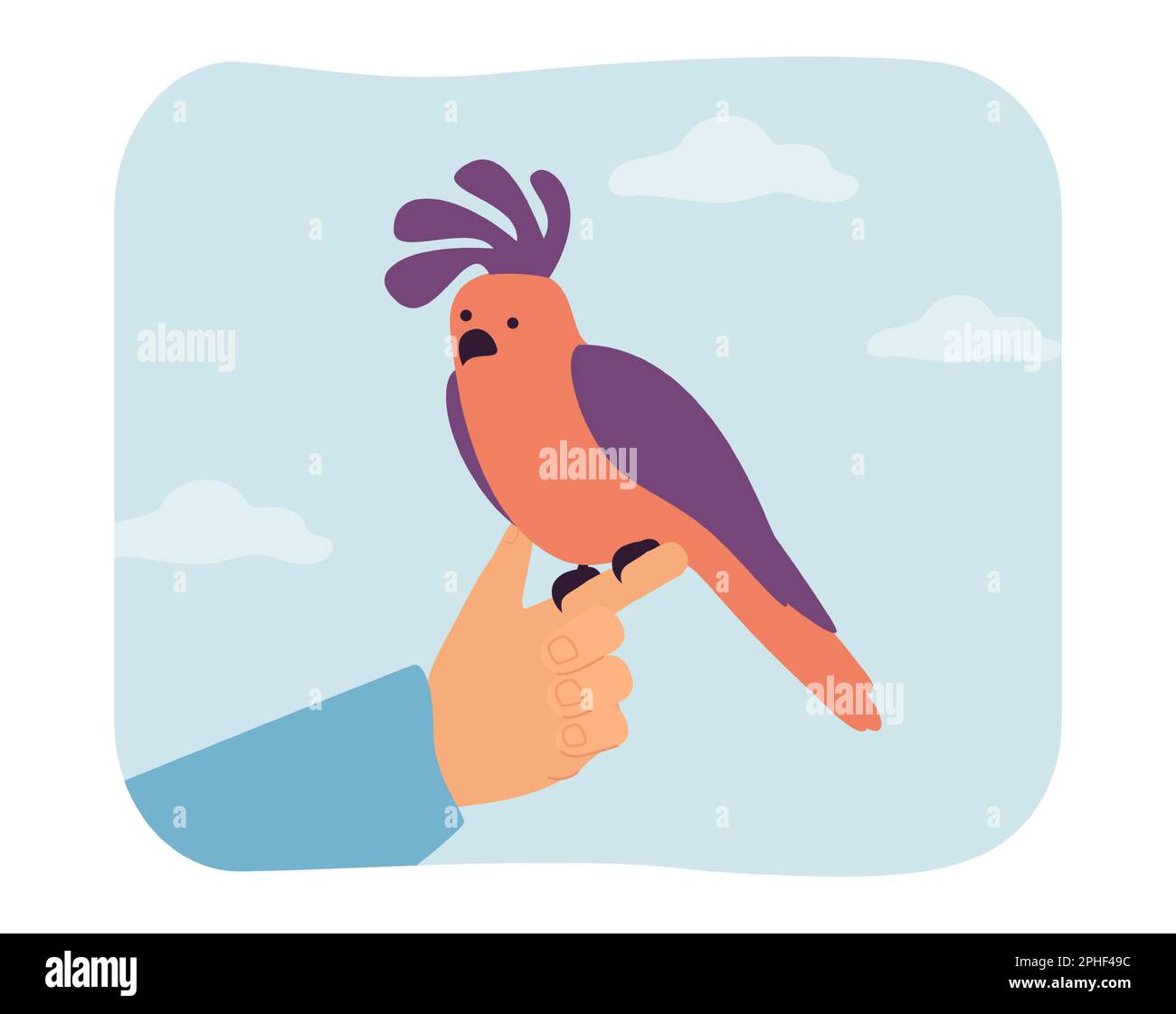 Bird on finger Stock Vector Images - Alamy