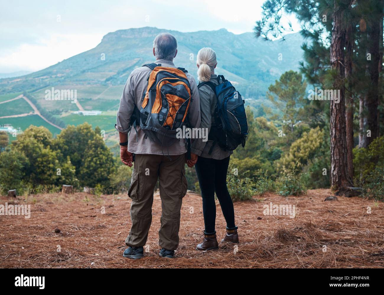 Mountains, retirement and hiking, old couple holding hands from back on ...