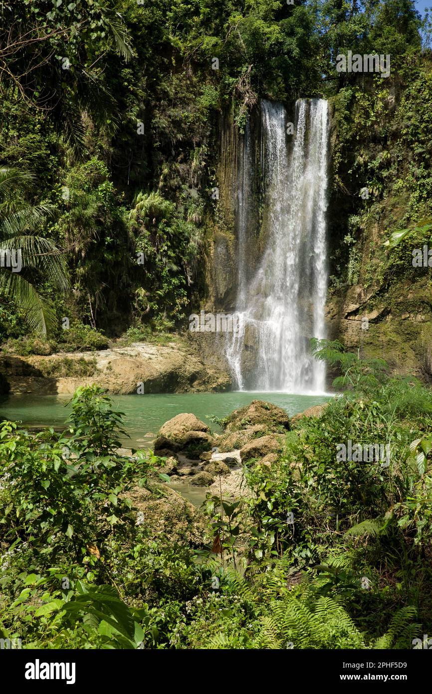 The idyllic Camugao Waterfall in Siquijor in the Philippines that flow ...
