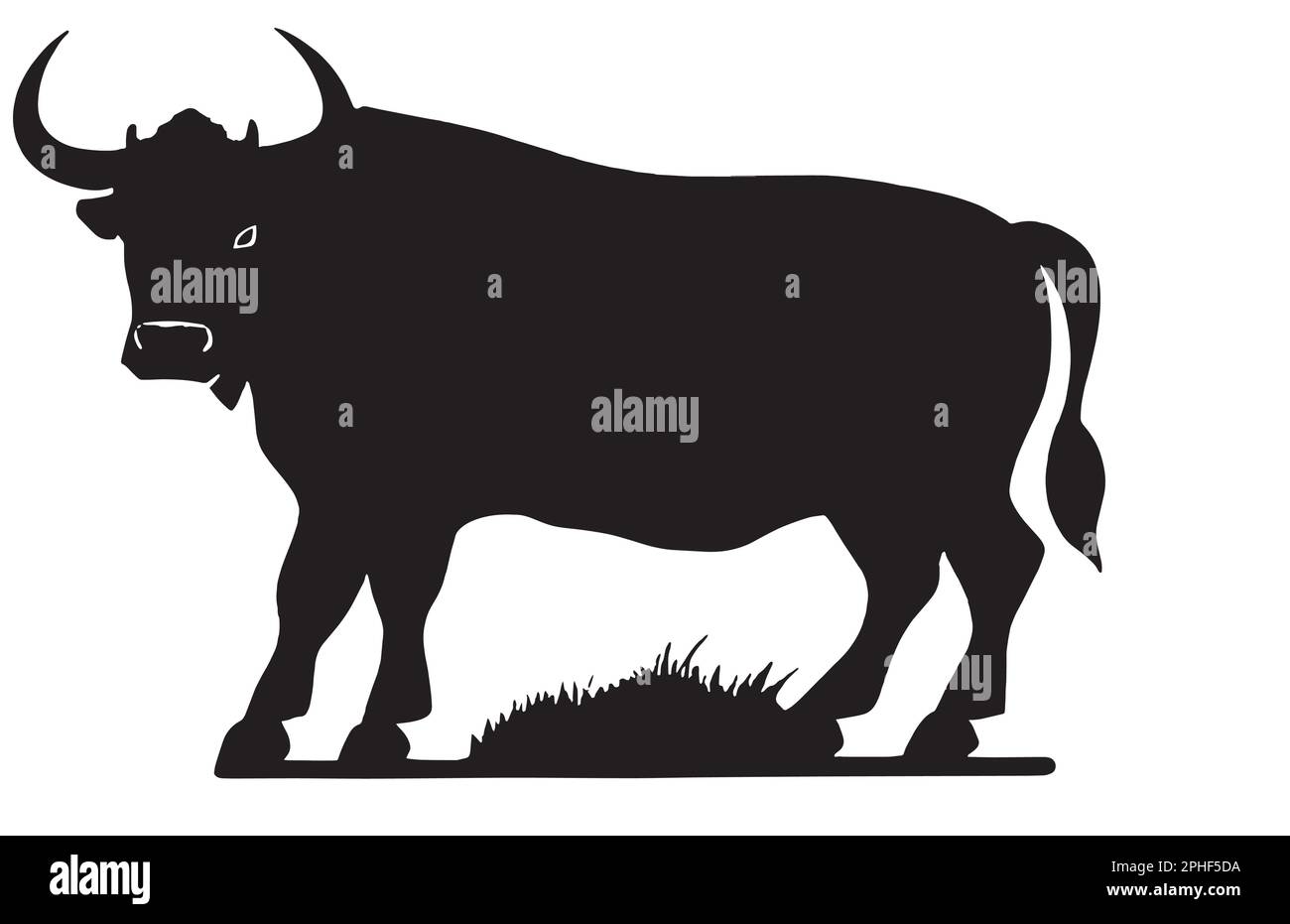 Angus bull silhouette Black and White Stock Photos & Images - Alamy