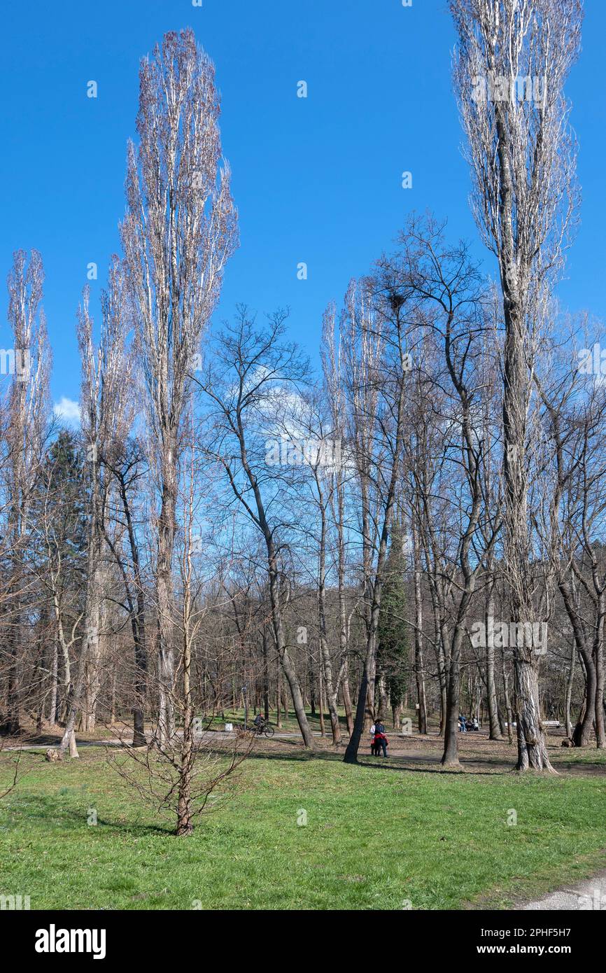 Amazing Spring view of South Park in city of Sofia, Bulgaria Stock ...