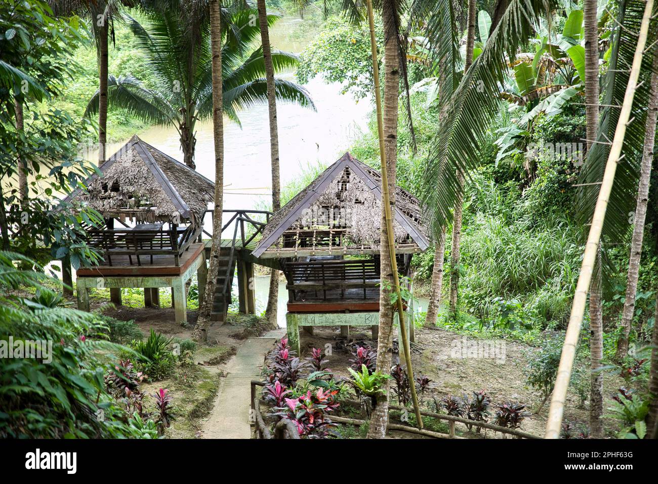 Two wooden huts with thatched roofs in the middle of a dense rainforest ...