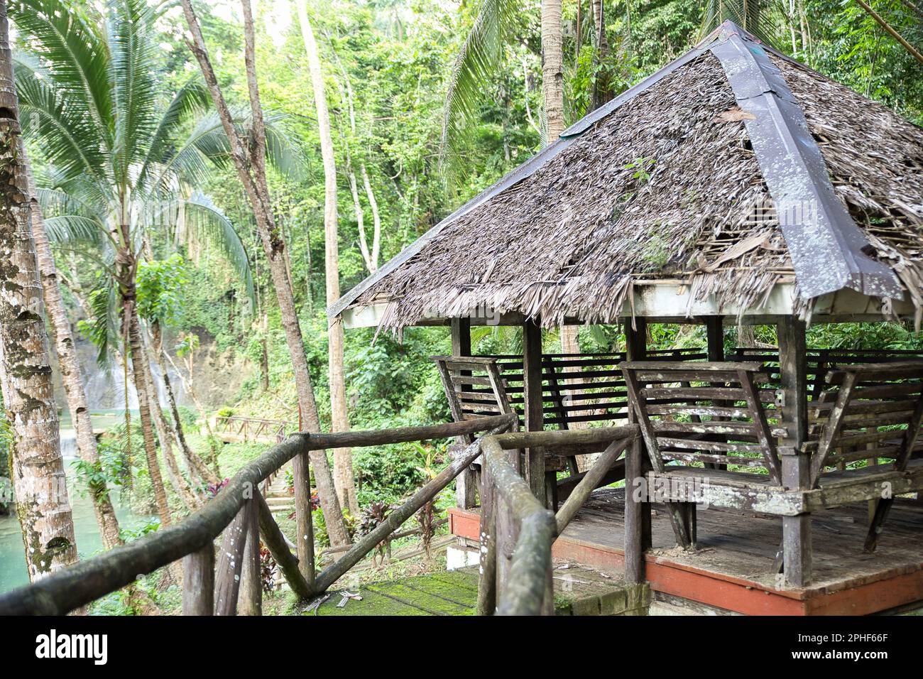 Two wooden huts with thatched roofs in the middle of a dense rainforest ...