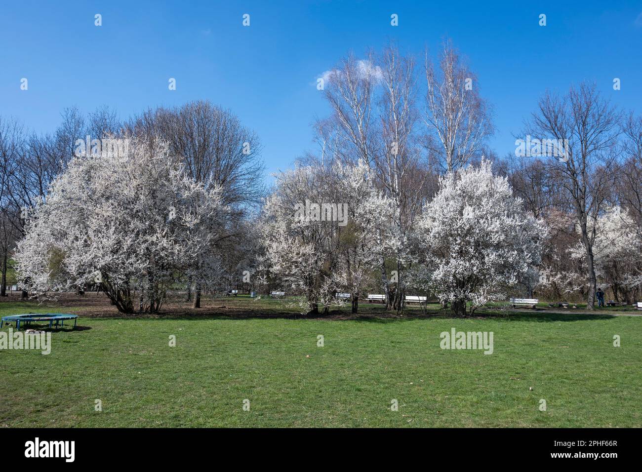Amazing Spring view of South Park in city of Sofia, Bulgaria Stock ...