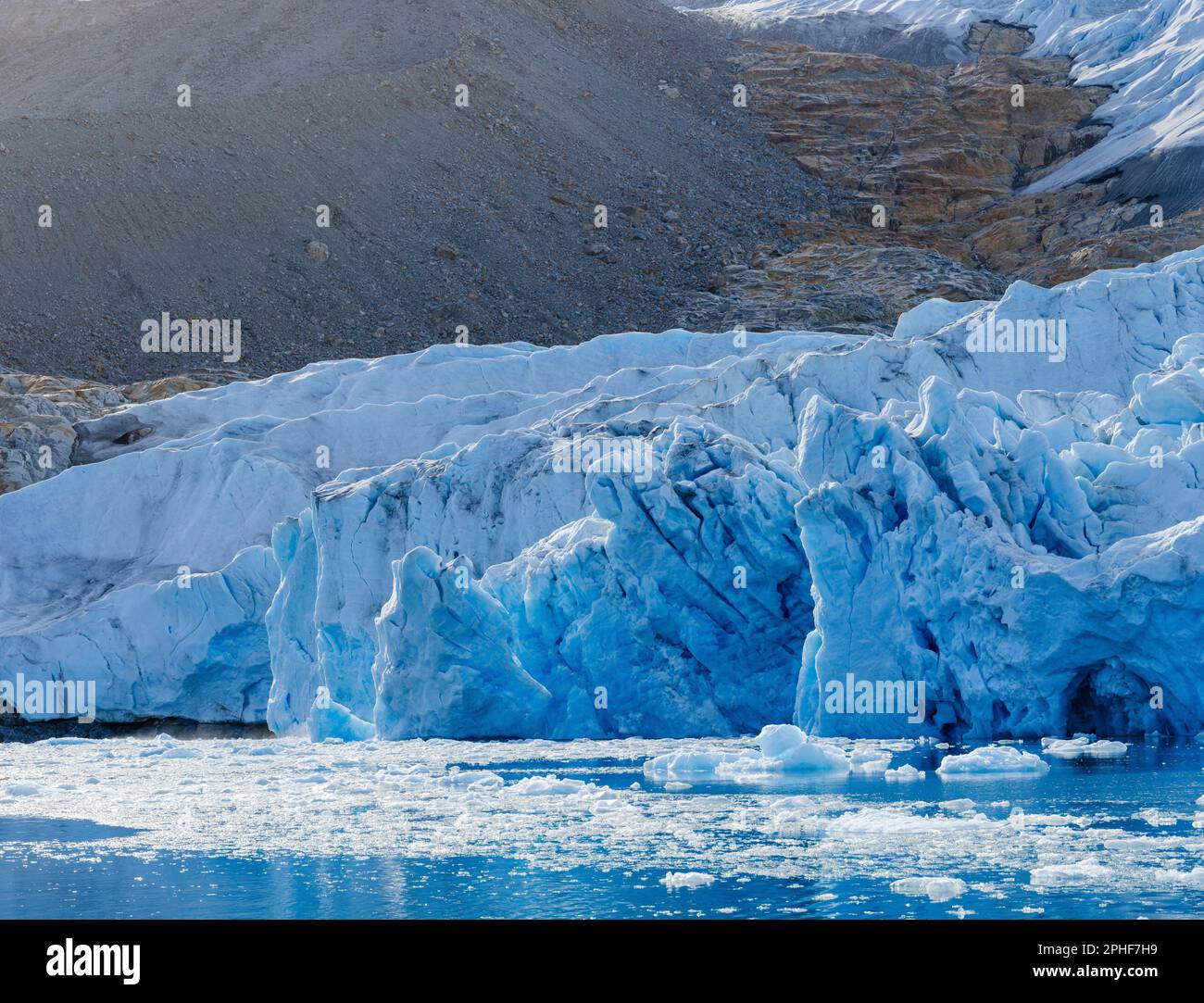 Brueckner Glacier, lateral moraine dating back to the 1900 indicating ...