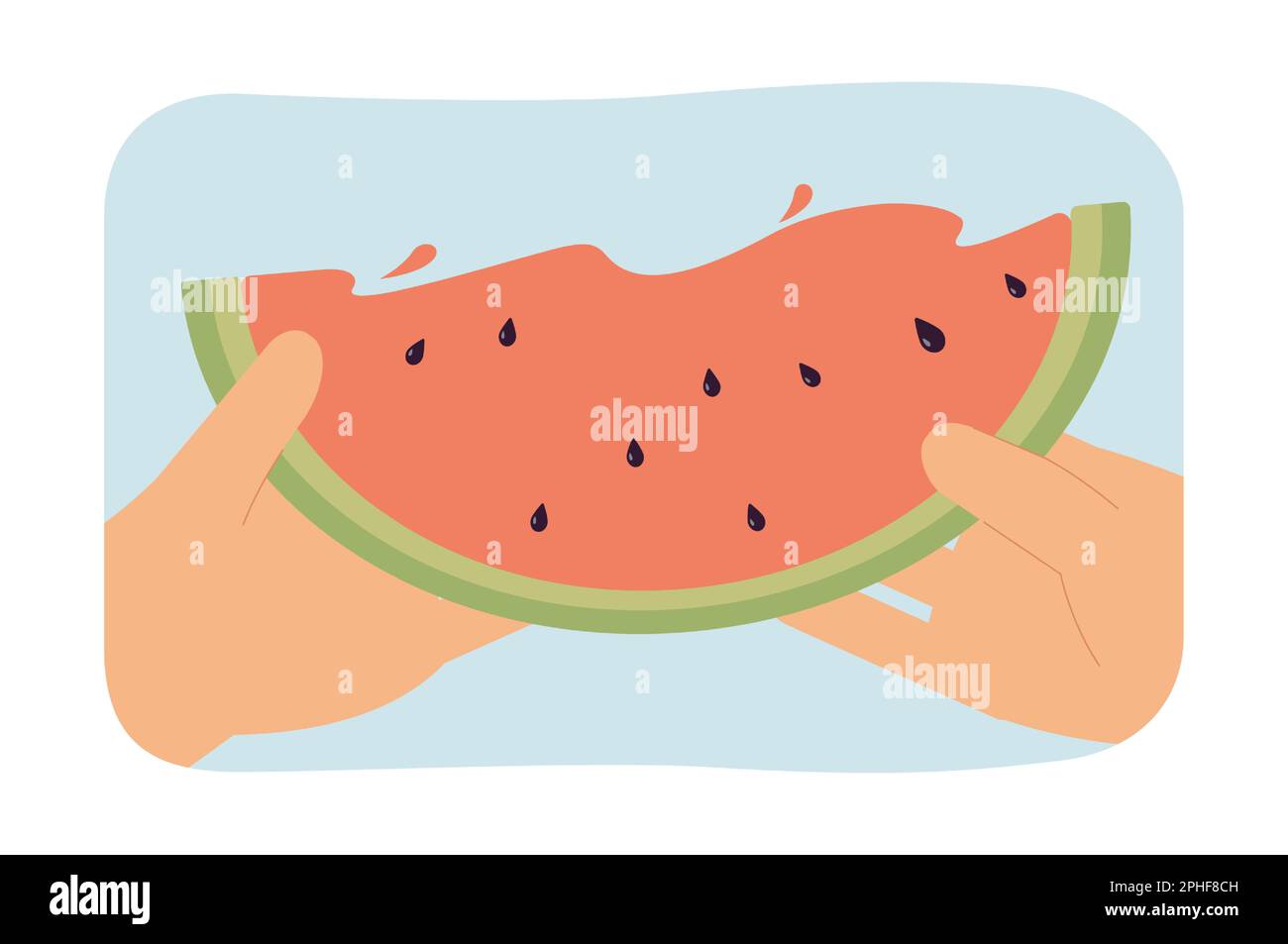 Hands holding piece of watermelon flat vector illustration Stock Vector ...