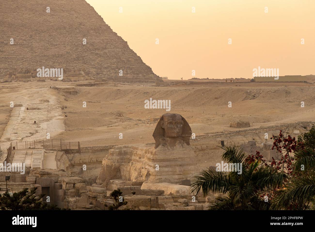 A view of the Great Sphinx at sunset in Giza, Egypt Stock Photo - Alamy